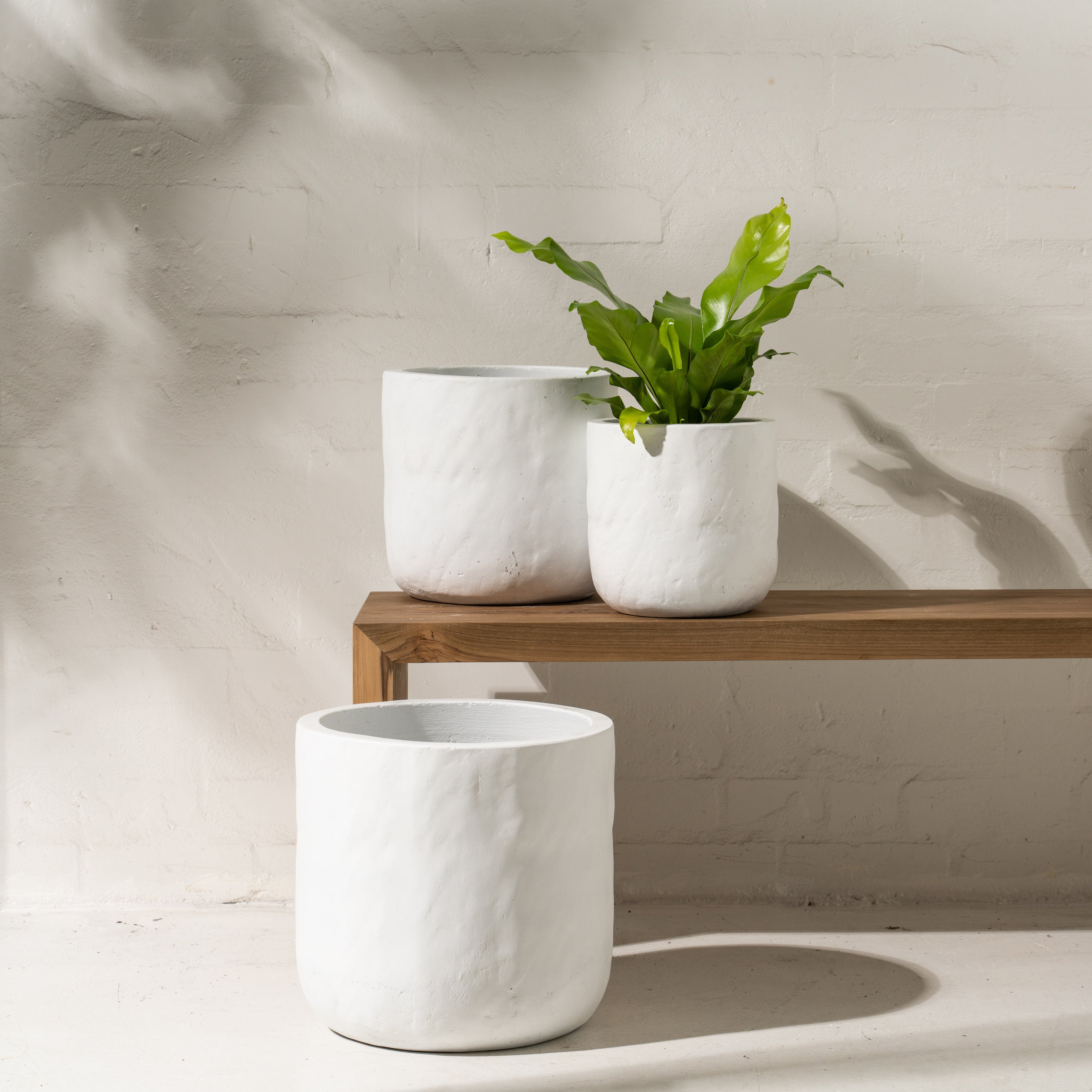 Lotte White Textured Concrete Pot – Inartisan.