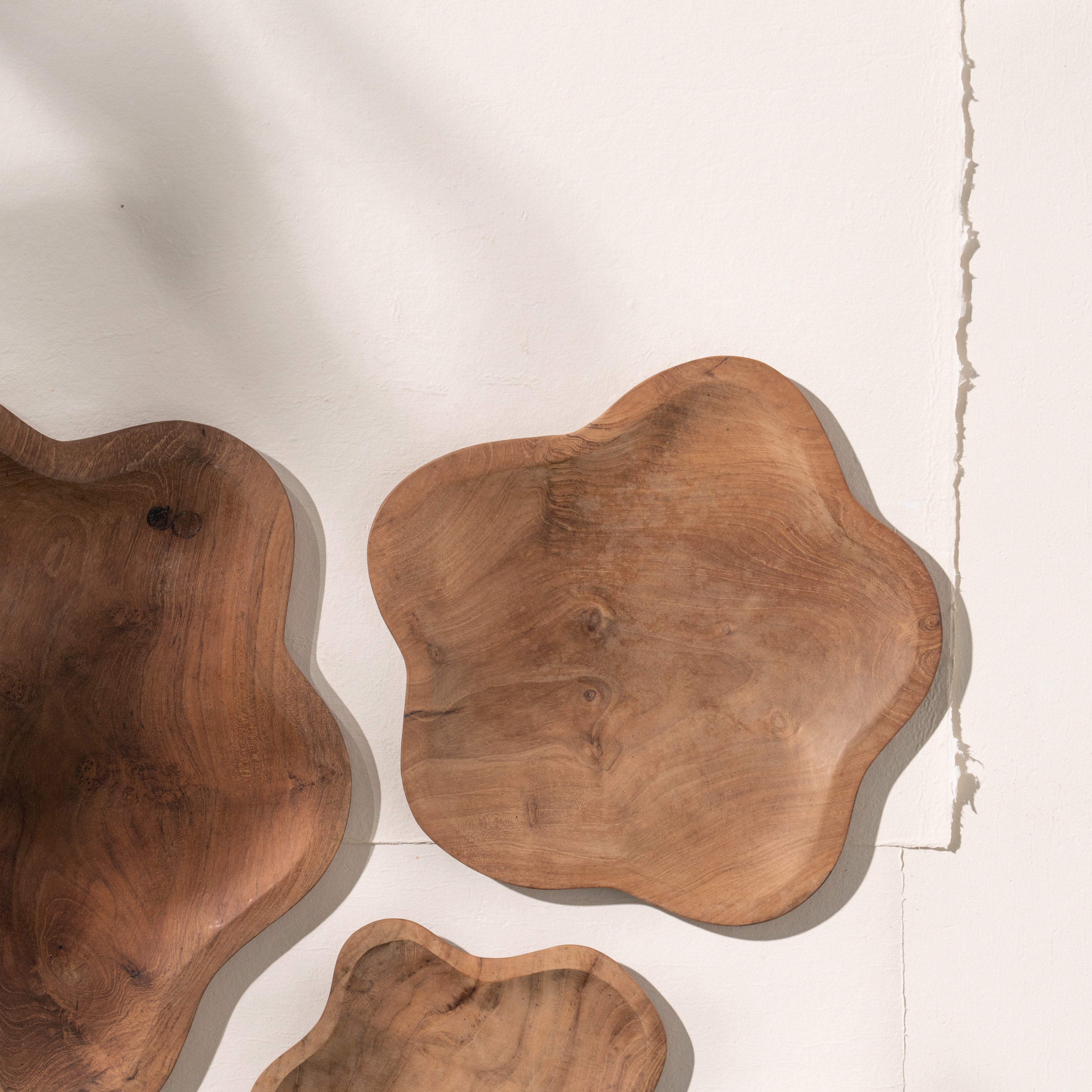Flora Curved Plate – Inartisan.
